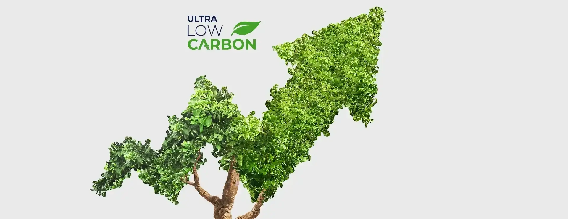 Aluminum Ultra Low Carbon – a holistic approach to reducing the carbon ...